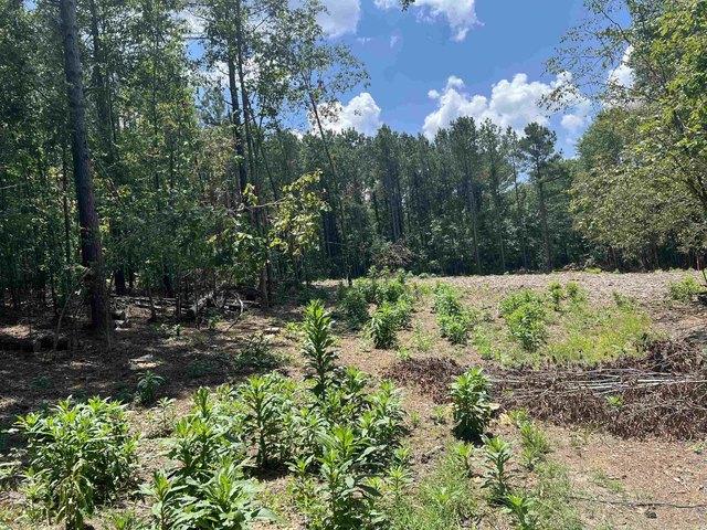 9 Casey Ln, Glenwood, AR 71943