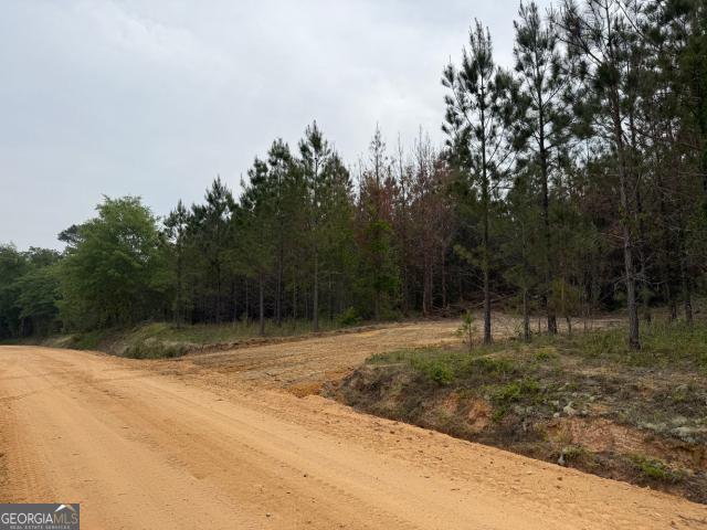 9 Cedar Grove