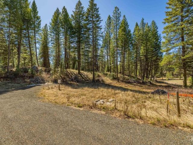 9 Collins Ct, McCall, ID 83638