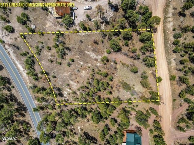 9 County Rd, Alpine, AZ 85920