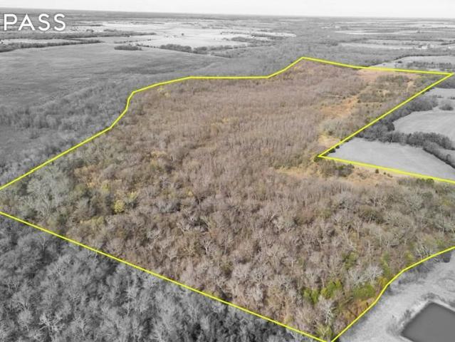 9 County Road 2158, Klondike, TX