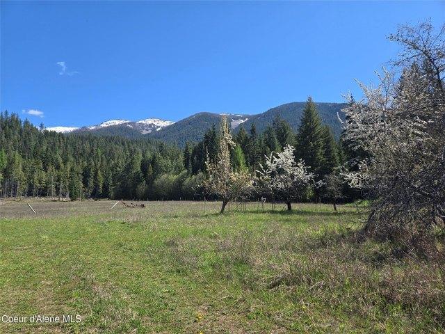 9 Dead Horse Ln, Heron, MT 59844