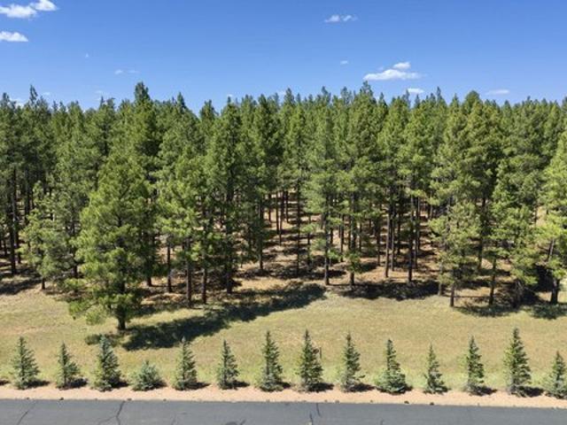 9 E Foxboro Rd Lot 14, Munds Park, AZ 86017