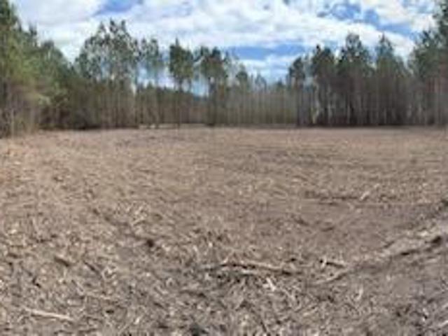 9 E Ridge Road # 9