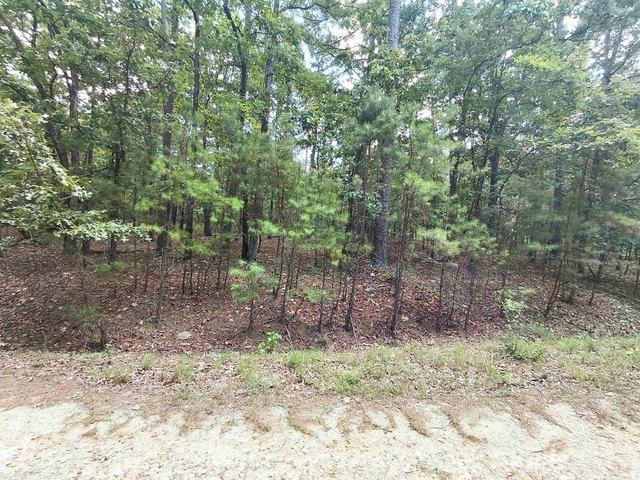 9 Estepa Cir, Hot Springs Village, AR 71909