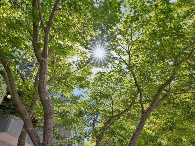 9 Greenside Way, San Rafael, CA 94901 | MLS #326033 | Compass