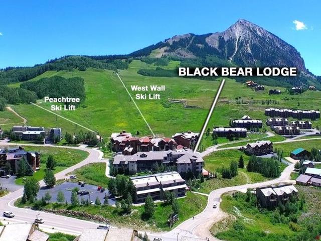 9 Hunter Hill Rd Unit 207, Crested Butte, CO 81225