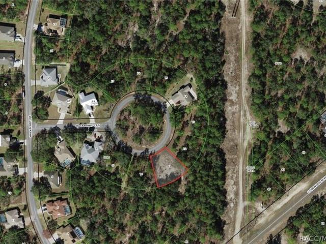 9 Hackberry Ct S, Homosassa, FL 34446
