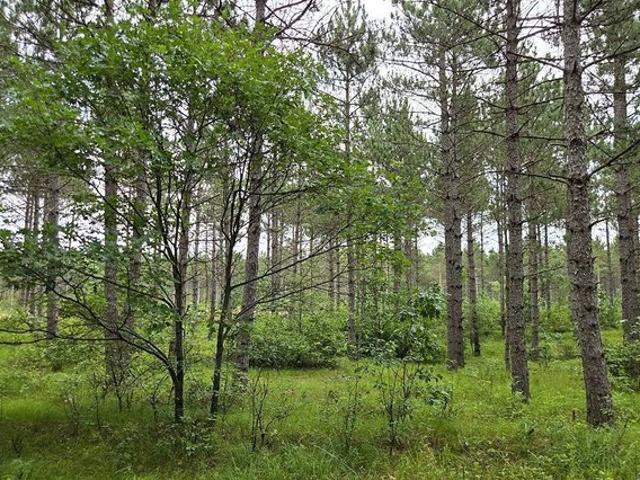 9 Hidden Trl, Rome, WI 54457