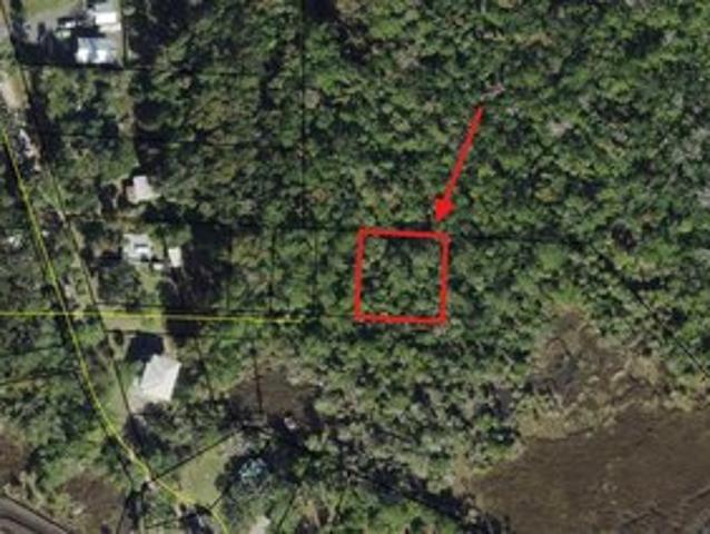 9 Judy St, Crawfordville, FL 32327