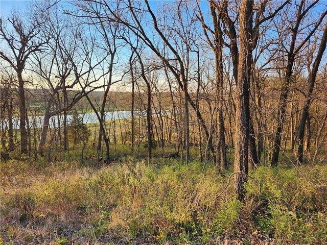 9 Kice Ct, Linn Valley, KS 66040