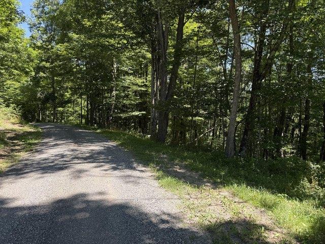 9 Lower Cherry Grv, Slatyfork, WV 26291
