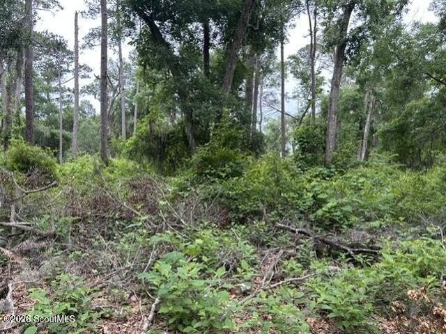 9 Lot Hudson Creek Court Is SE Unit Tolomato, Darien, GA 31305