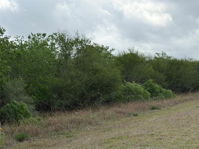 9 Love Rd, Victoria, TX 77904 | MLS #92616 | Compass