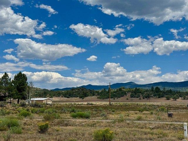 9 Pd # 1791, Chama, NM 87520