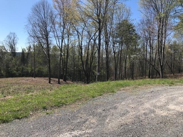 9 Piney View Dr, Spring City, TN 37381