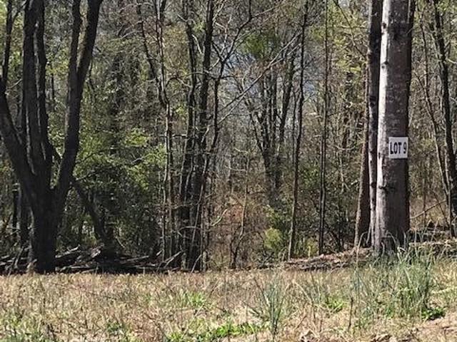 9 Piney View Drive