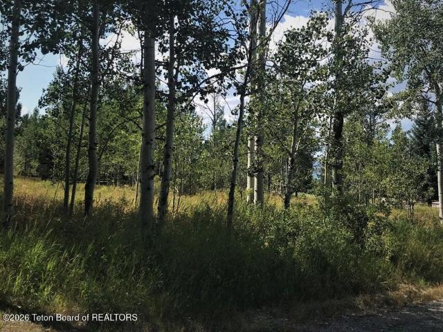 9 Plat Green Canyon Dr, Lot 87, Thayne, WY 83127 | MLS #26 69 | Compass