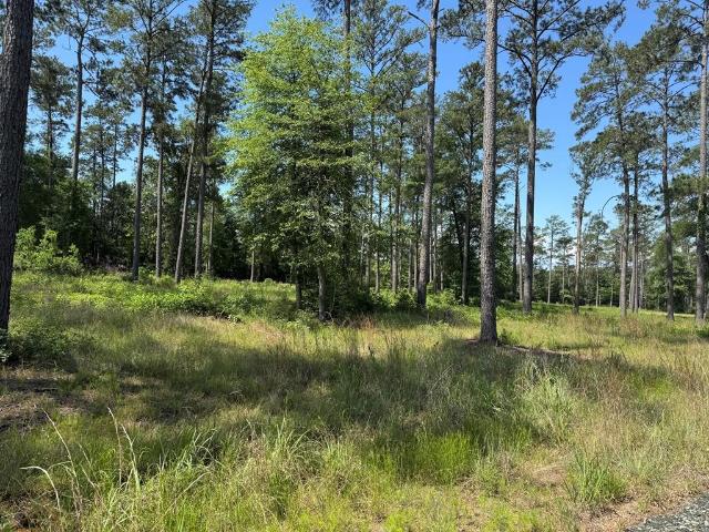 9 Private Road 6028, Brookeland, TX 75931 | MLS #16878 | Compass