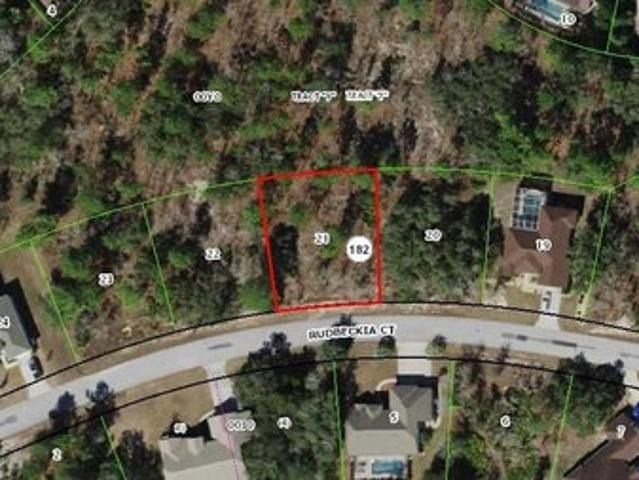 9 Rudbeckia Ct, Homosassa, FL 34446