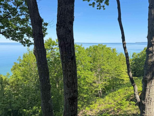 9 Ridge Top