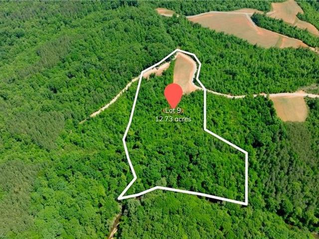 9 Roby Fulk Rd, Pinnacle, NC 27043