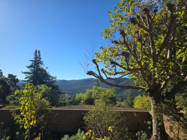 9 Story Rd, Carmel Valley, CA 93924 | MLS #ML82037 | Compass