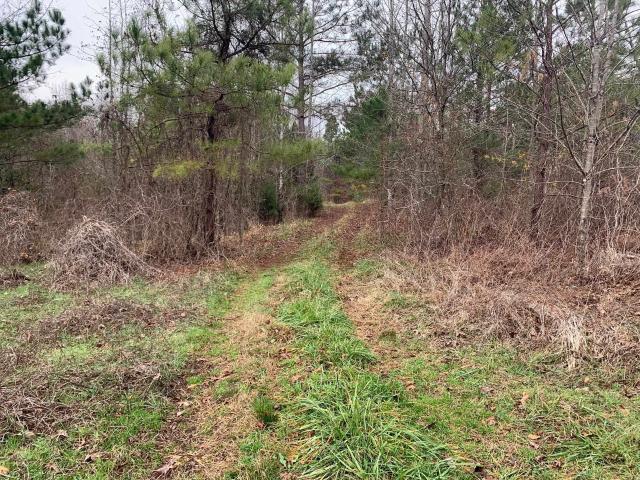 9 Sulphur Springs Rd, Selmer, TN 38375 | MLS #10186 | Compass
