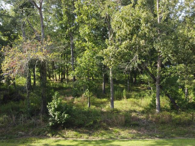 9 Sweetgum Drive