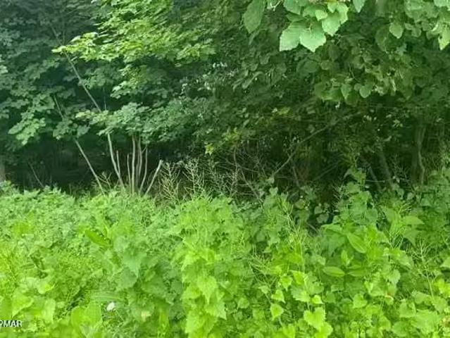 9 SKY HAWK TRAIL, SCOTRUN, PA 18355 Vacant Land For Sale MLS#.