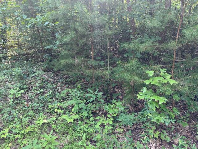 9 Tucker Hollow Road