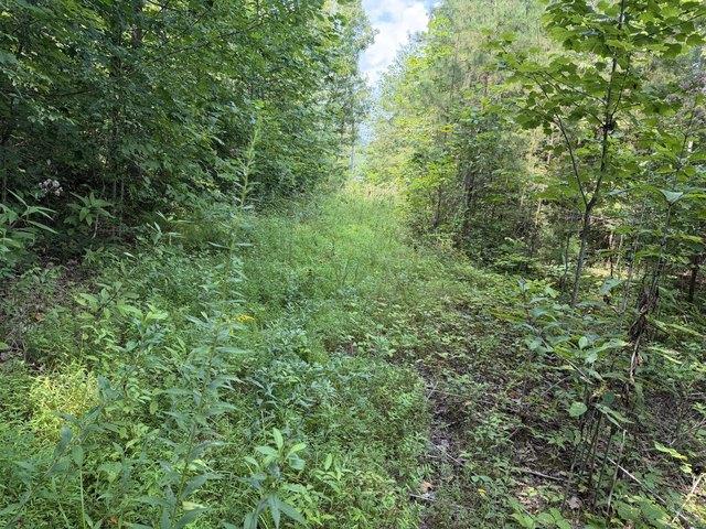 9 Tucker Hollow Rd, Monticello, KY 42633