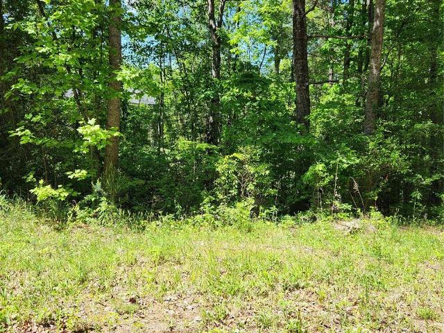 9 Tadpole Ln, Taylorsville, NC 28681 | MLS #4130 | Compass