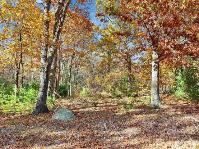 9 Winterberry Road
