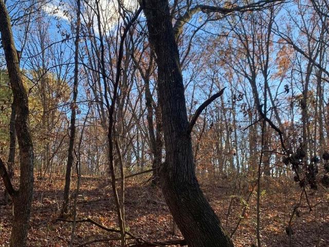 9.04 acres n ridge rd