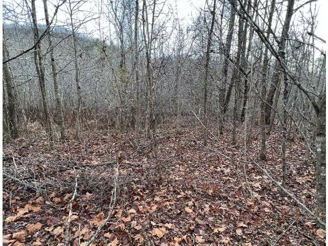 9 17 Mary Ln, Hayesville, NC 28904 | MLS #321625