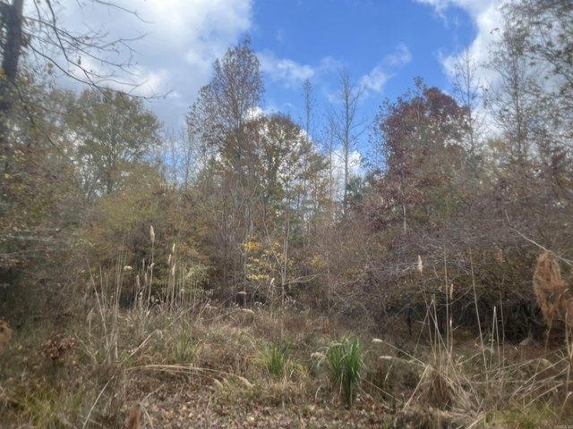 9 19 18 Salem Cemetery Rd, El Dorado, AR 71730