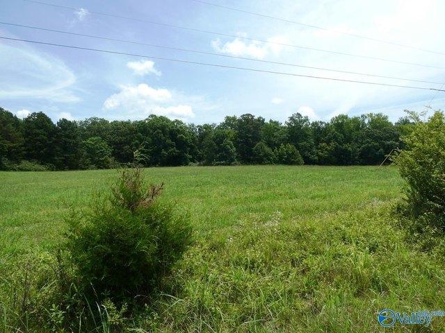 9.2 Ac County Road 4006, Crane Hill, AL 35053