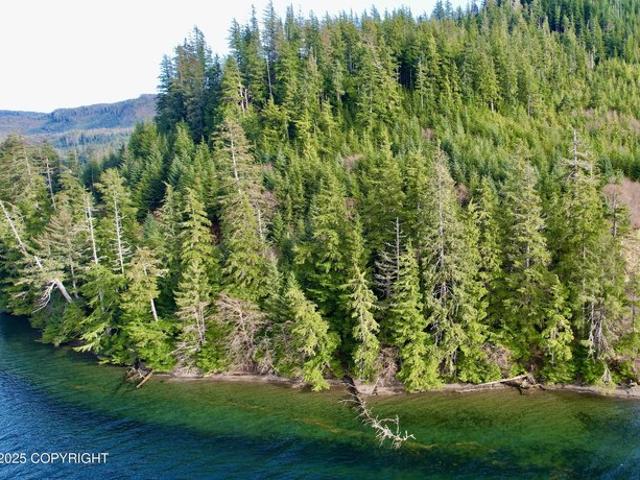 9.2 Mile Port Saint Nicholas Rd, Craig, AK 99921