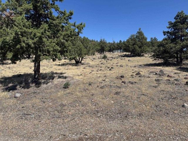 9 2 Shoreline Dr Lot 97, Weed, CA 96094