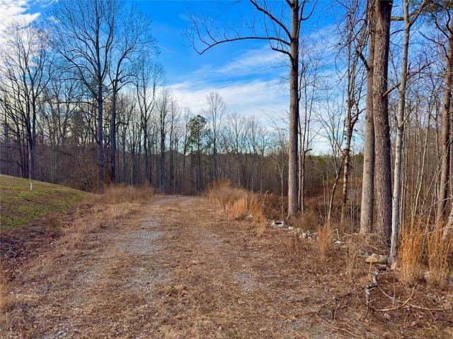 9 5 Bethany Rd, Jasper, GA 30143 | MLS #7738