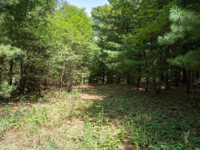 9.732 acres E Flint Street