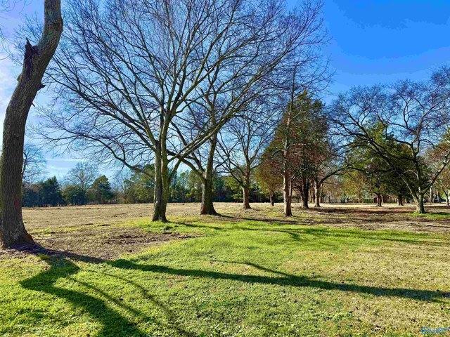 9.7 Acres Breeding Dr, Hartselle, AL 35640