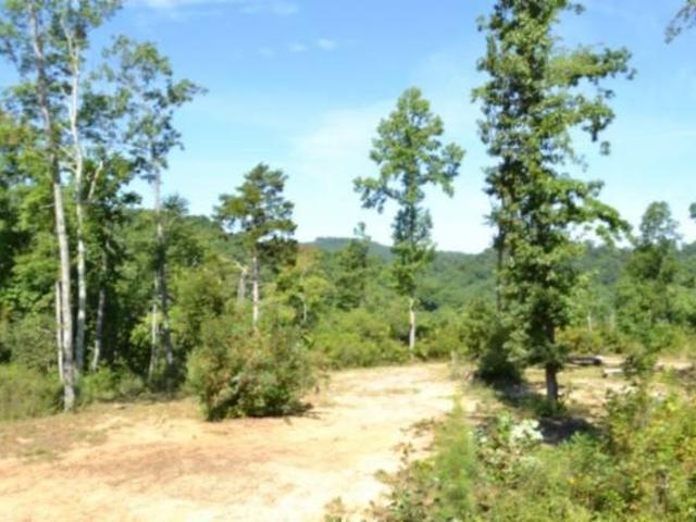 9 85AC Rock Spring Rd Unit 408 412, Celina, TN 38551