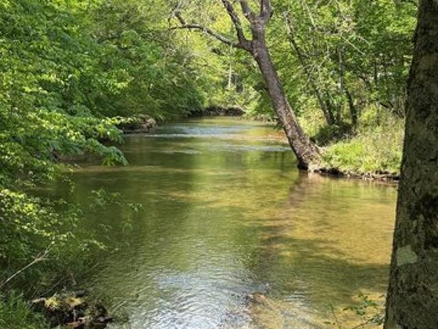 9.8 Ac Brown Mtn, Suches, GA 30572