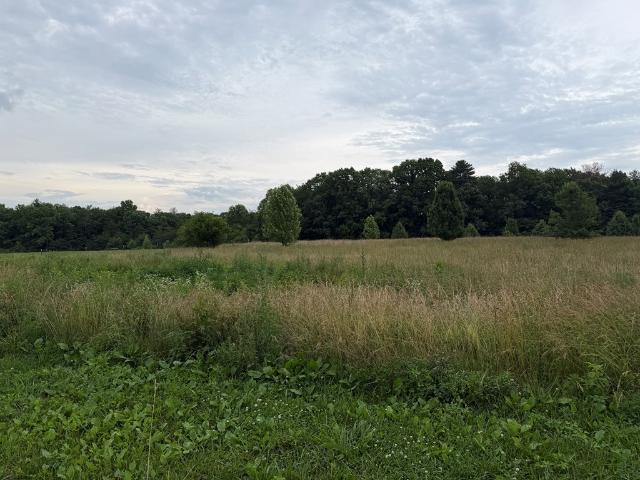9.8 Ac Tyler Trail