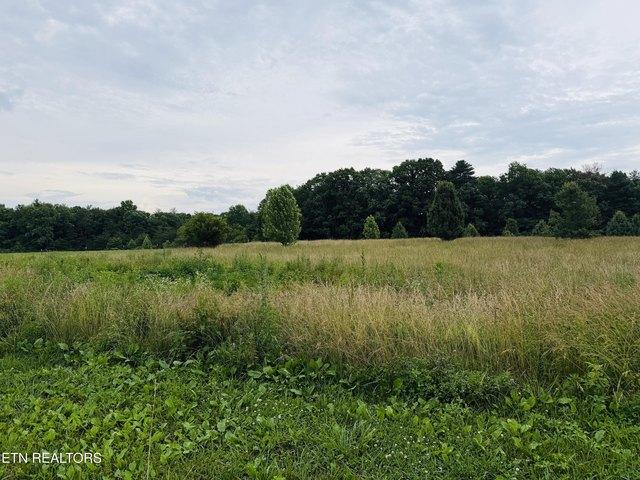 9.8 Acres Tyler Trl, Jamestown, TN 38556