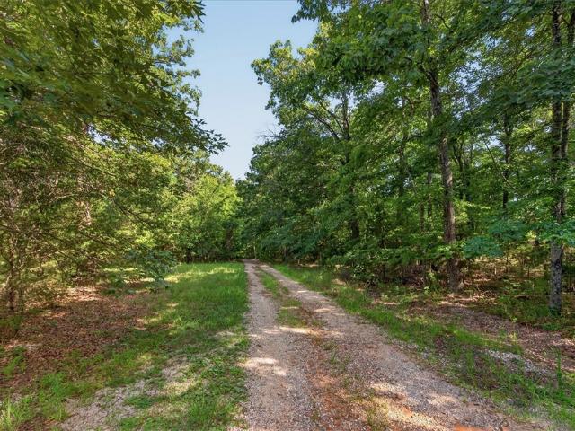 9.95 Acres Madison 2347