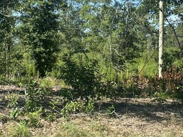 9C Piper Rd, Trenton, SC 29847