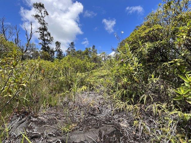 9th Ave, Keaau, HI 96749